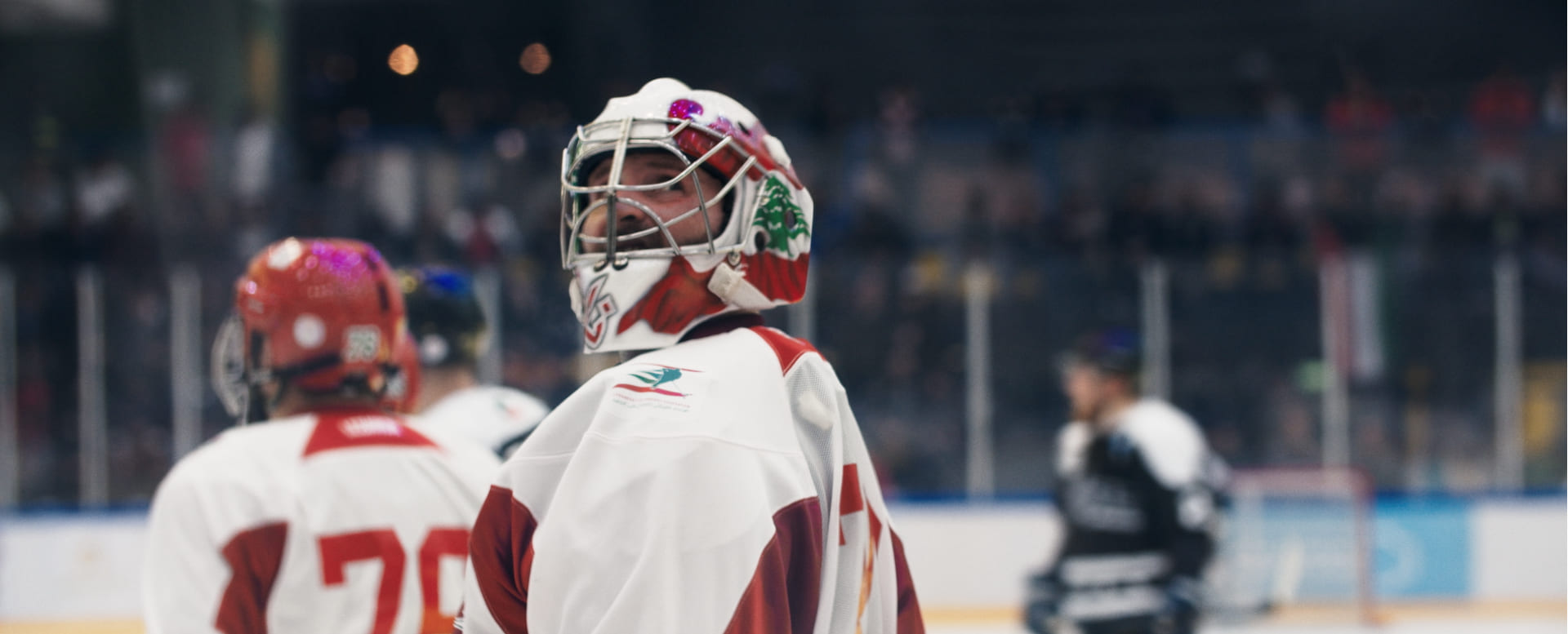 Les cèdres du Liban - Avanti Groupe